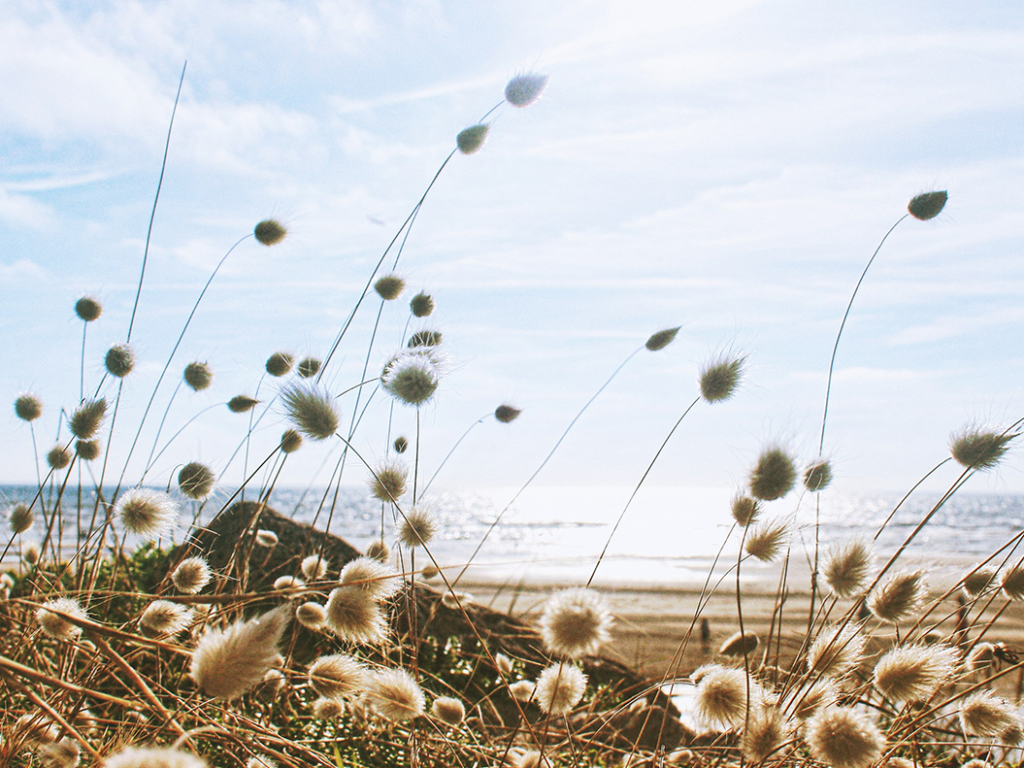 Via: Drug & Alcohol Addiction Charity